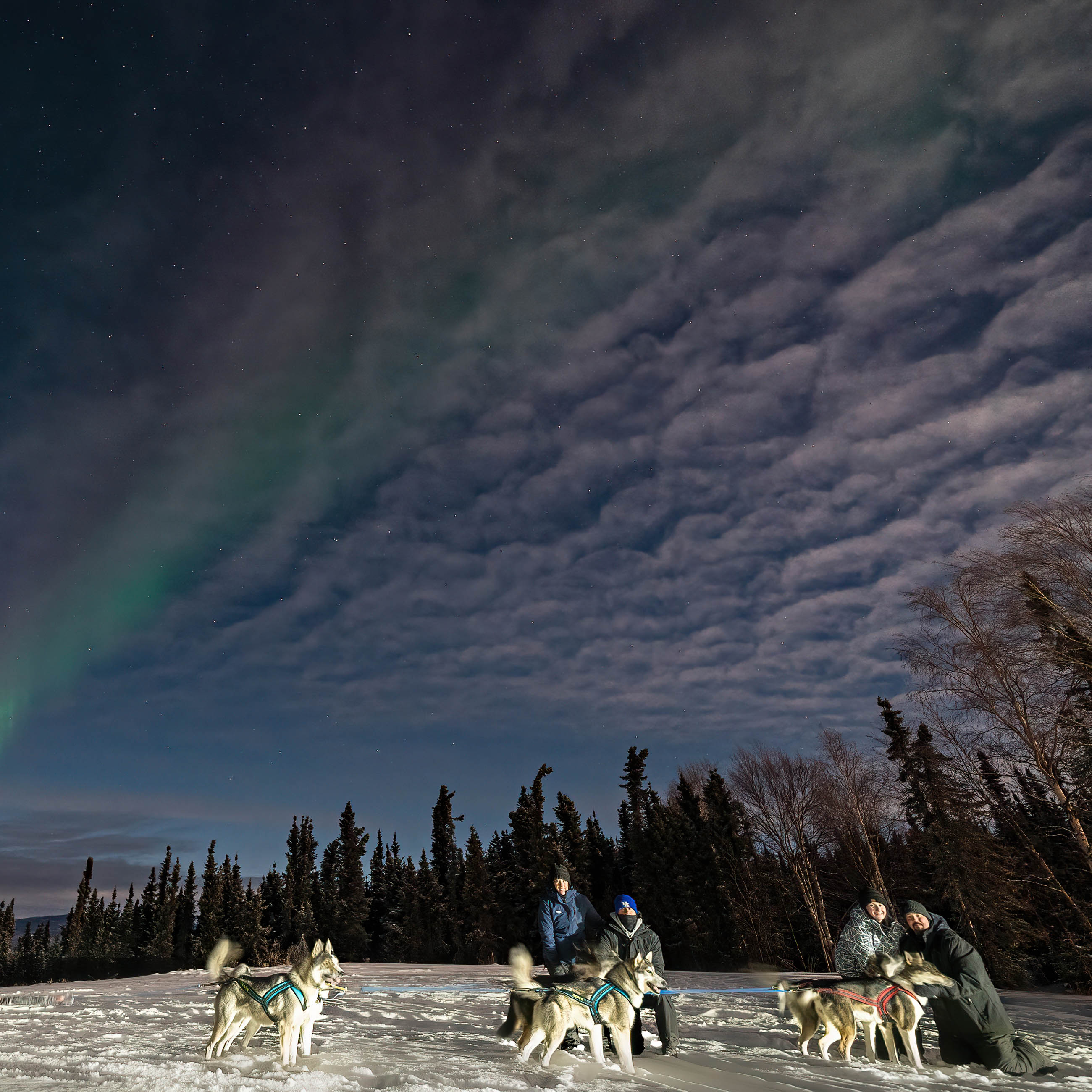 Fairbanks Aurora Tour: Instant Tours, Transfers, Flexible